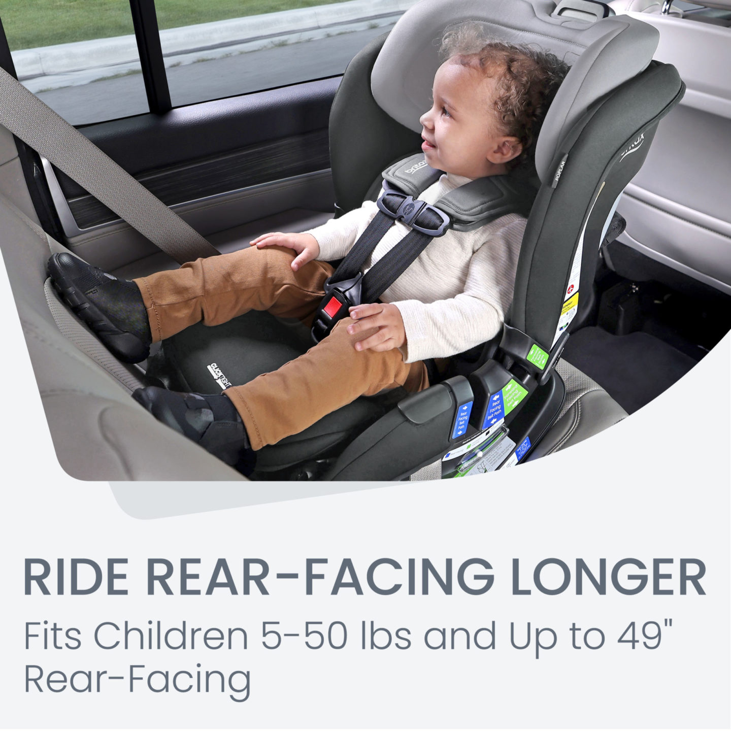 Britax | Poplar Convertible Car Seat